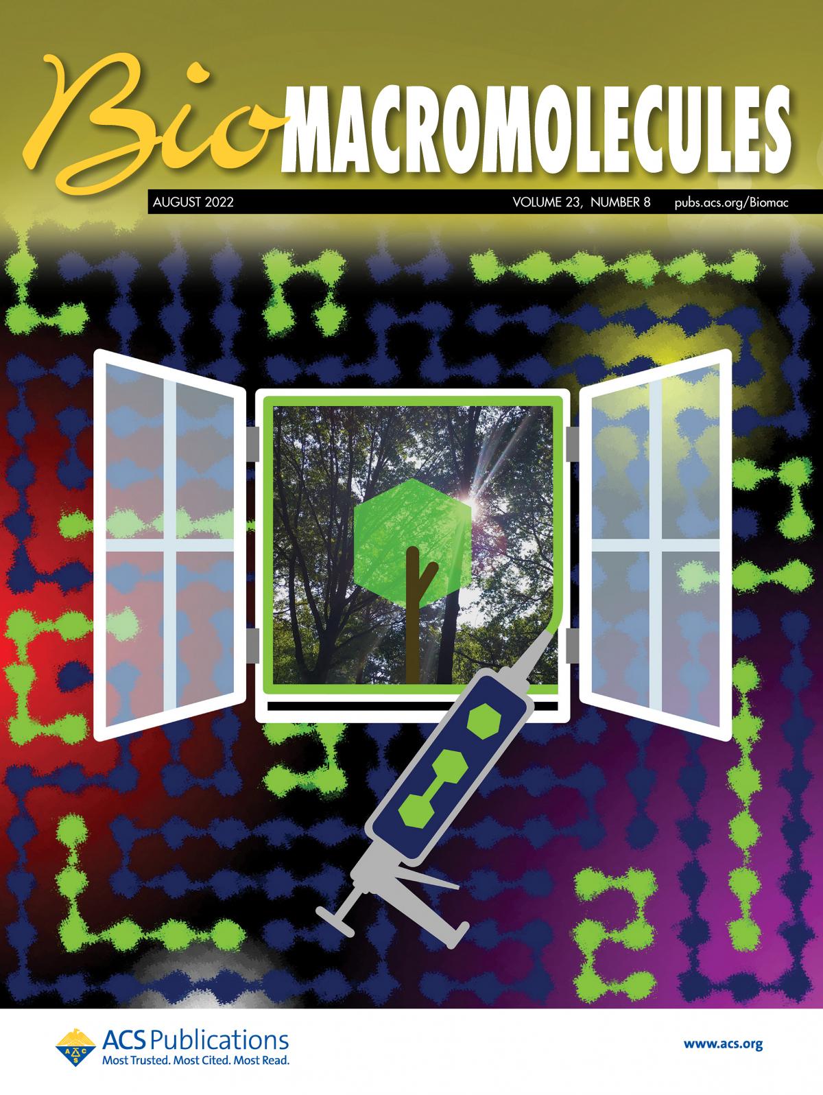 SPOT team research featured on the cover of Biomacromolecules | SPOT